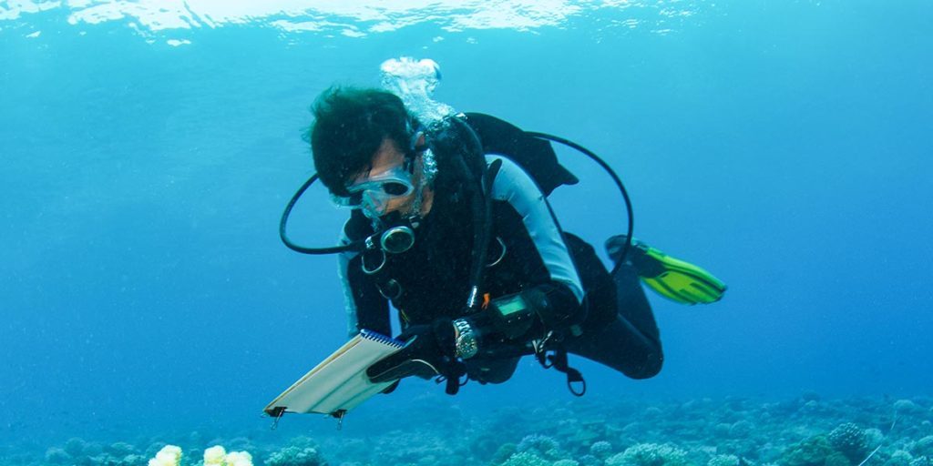 Divers Blog - DAN World