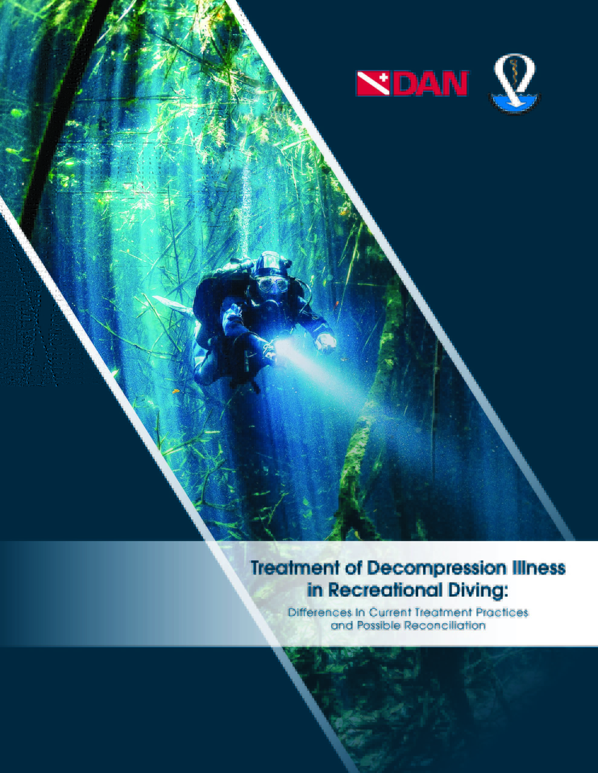 Best Treatment Practices for Diving Injuries - DAN World