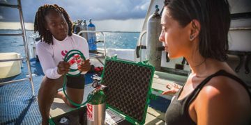 Professional Membership - DAN World