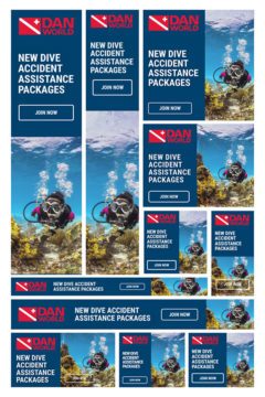 Business Membership - DAN World