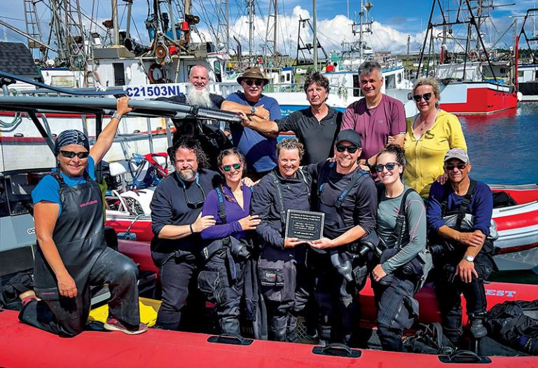 Identifying the Lost Liberator - DAN World