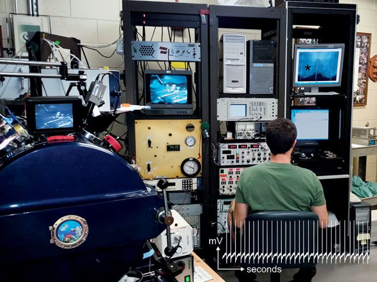 Oxygen Toxicity Research - DAN World