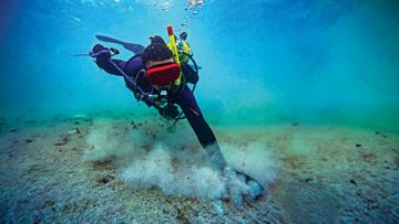 Royal Bermuda Regiment Coast Guard Divers - DAN World