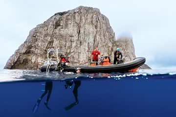 Malpelo - DAN World